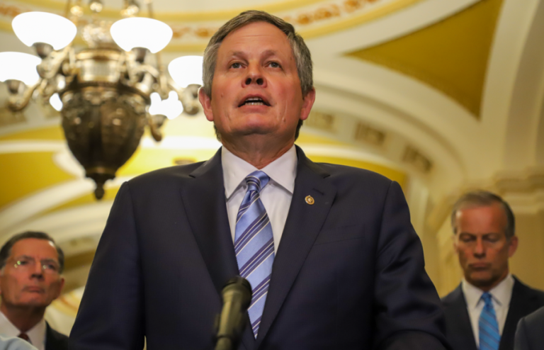 Daines: “The American People Know a Stunt When They See it” - Senator ...
